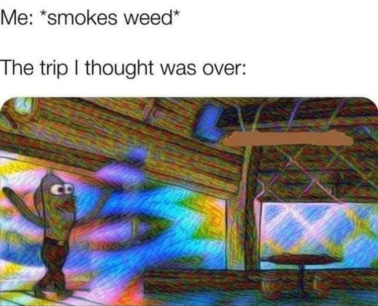 This is facts | Scrolller