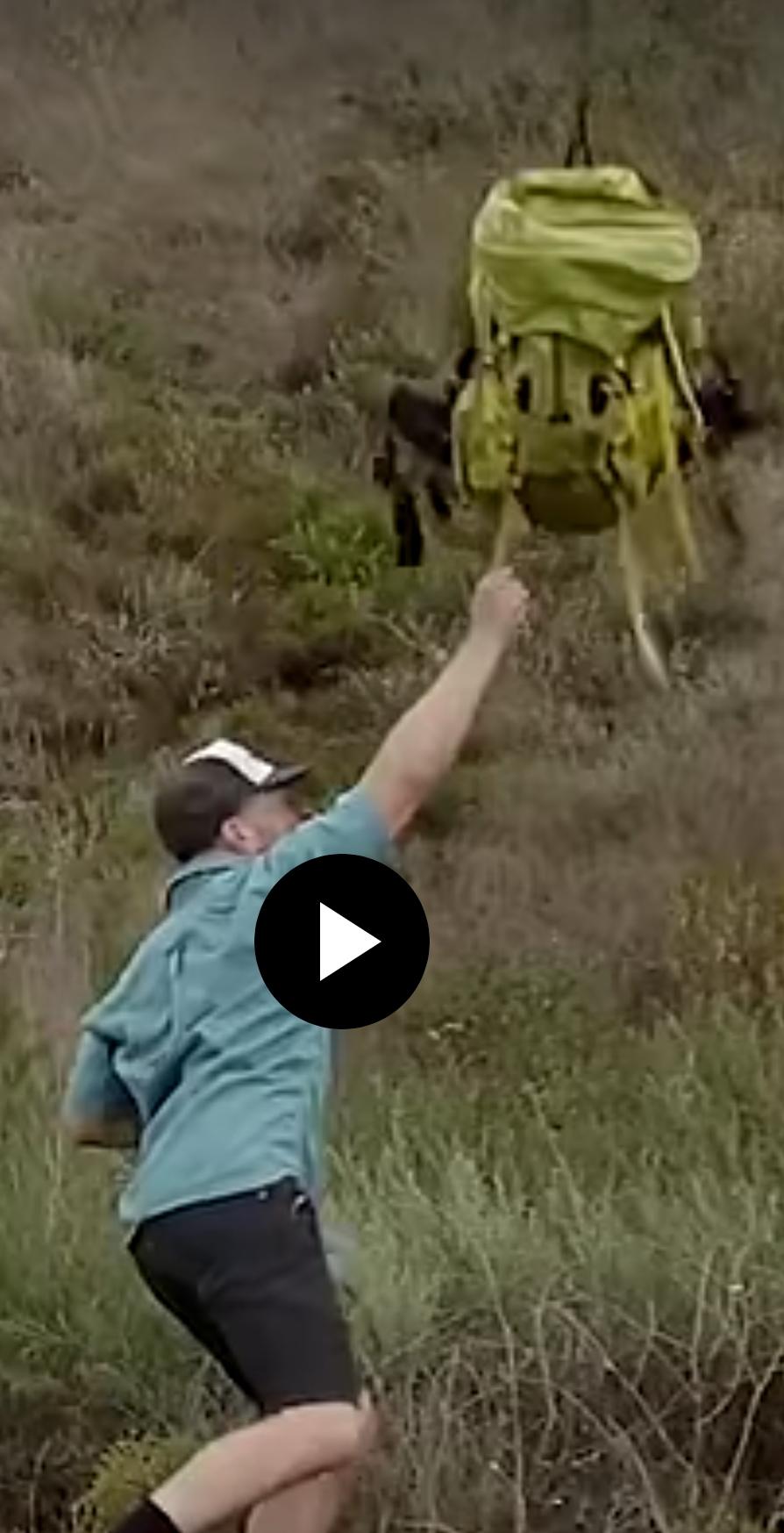 This is genius ! How to lighten your load without compromise | Scrolller