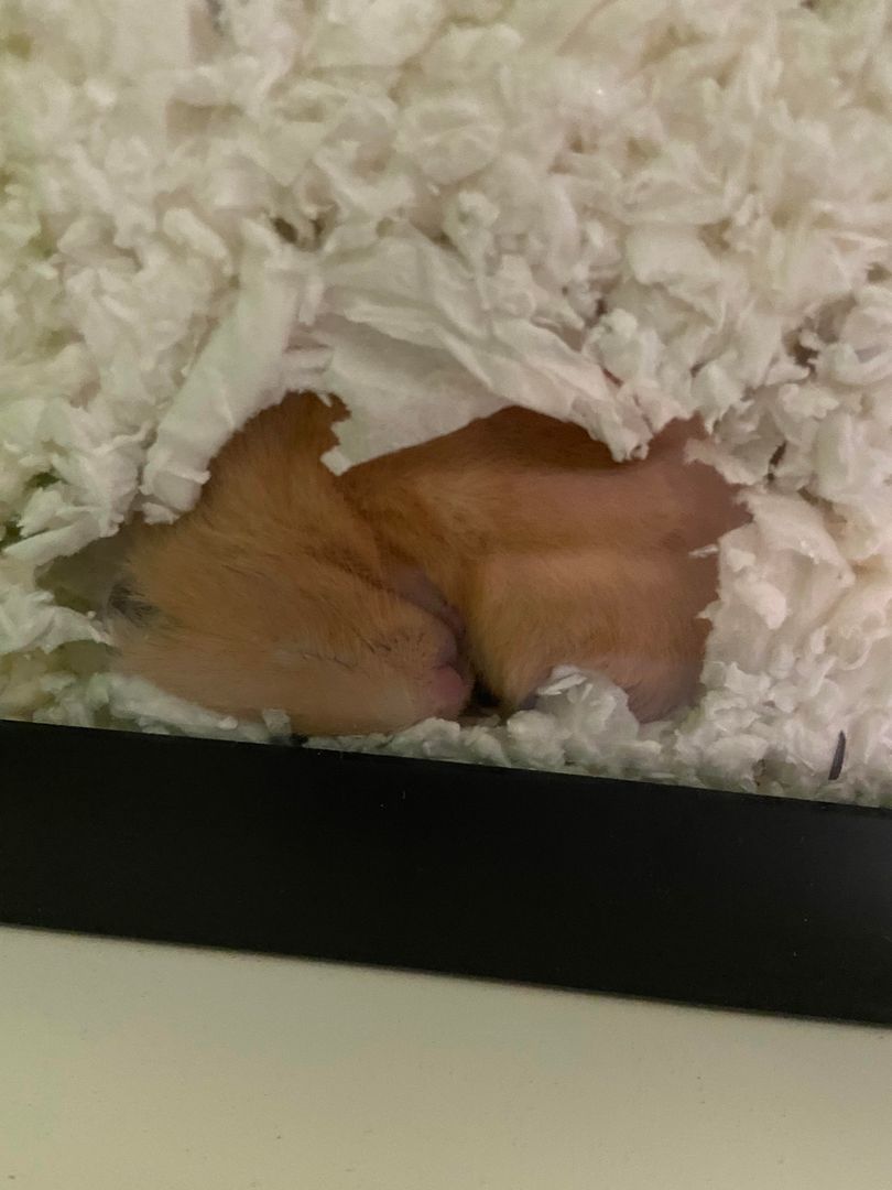 This is her favorite sleeping position | Scrolller