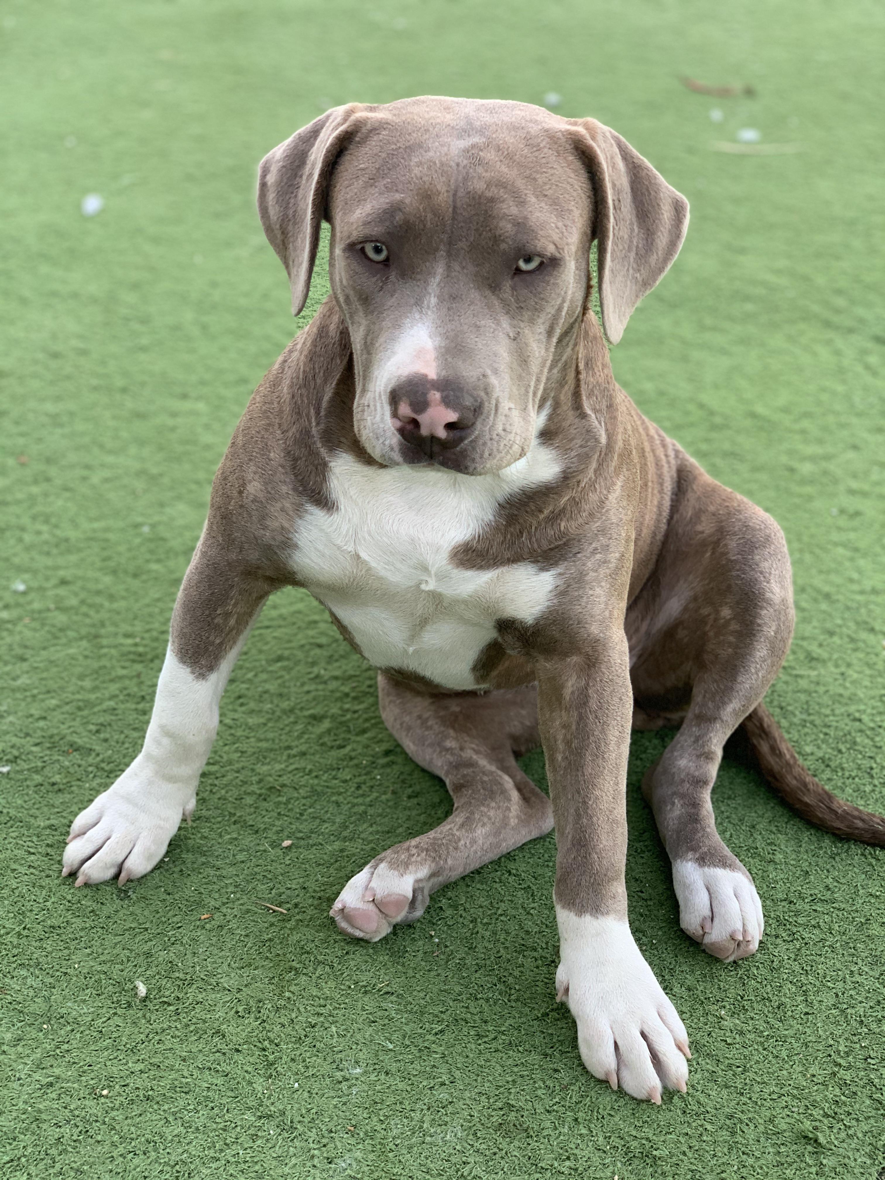 This is how she sits ;-; | Scrolller