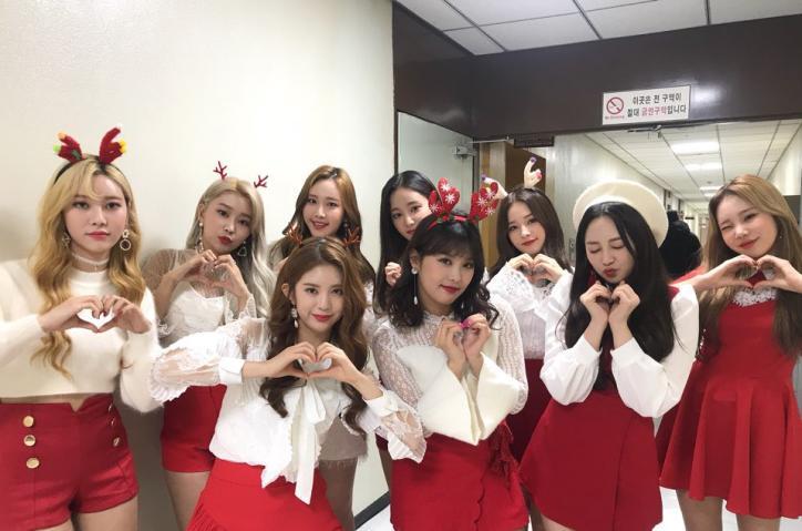 This is Momoland! #346 | Scrolller