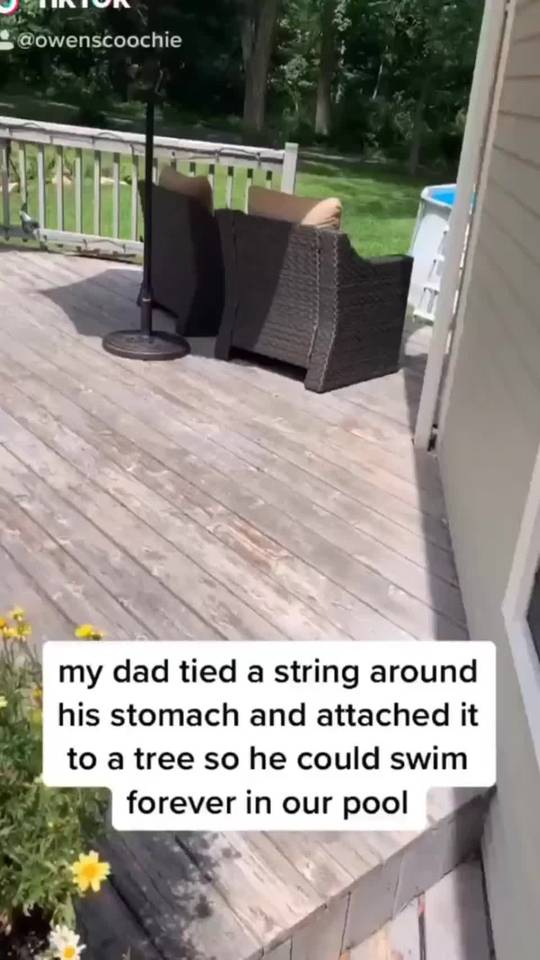 This is pure genius | Scrolller