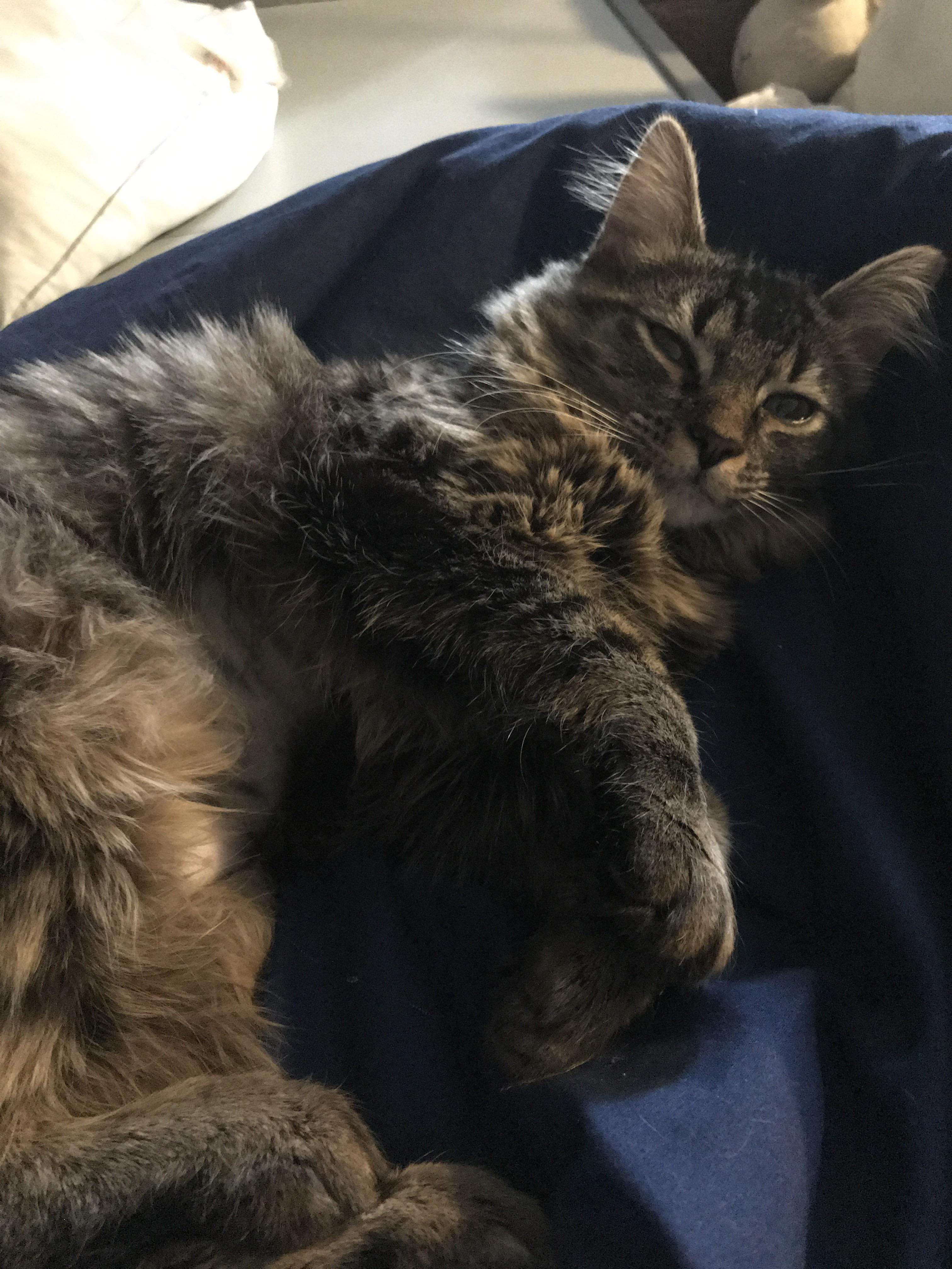 This is tabitha | Scrolller