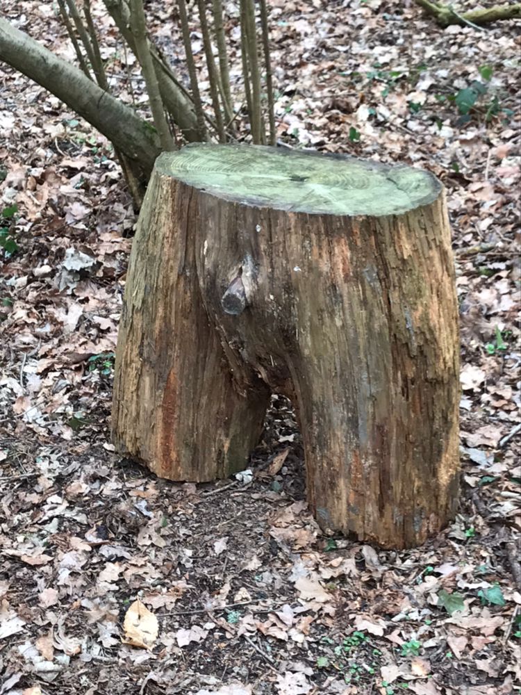 This log | Scrolller