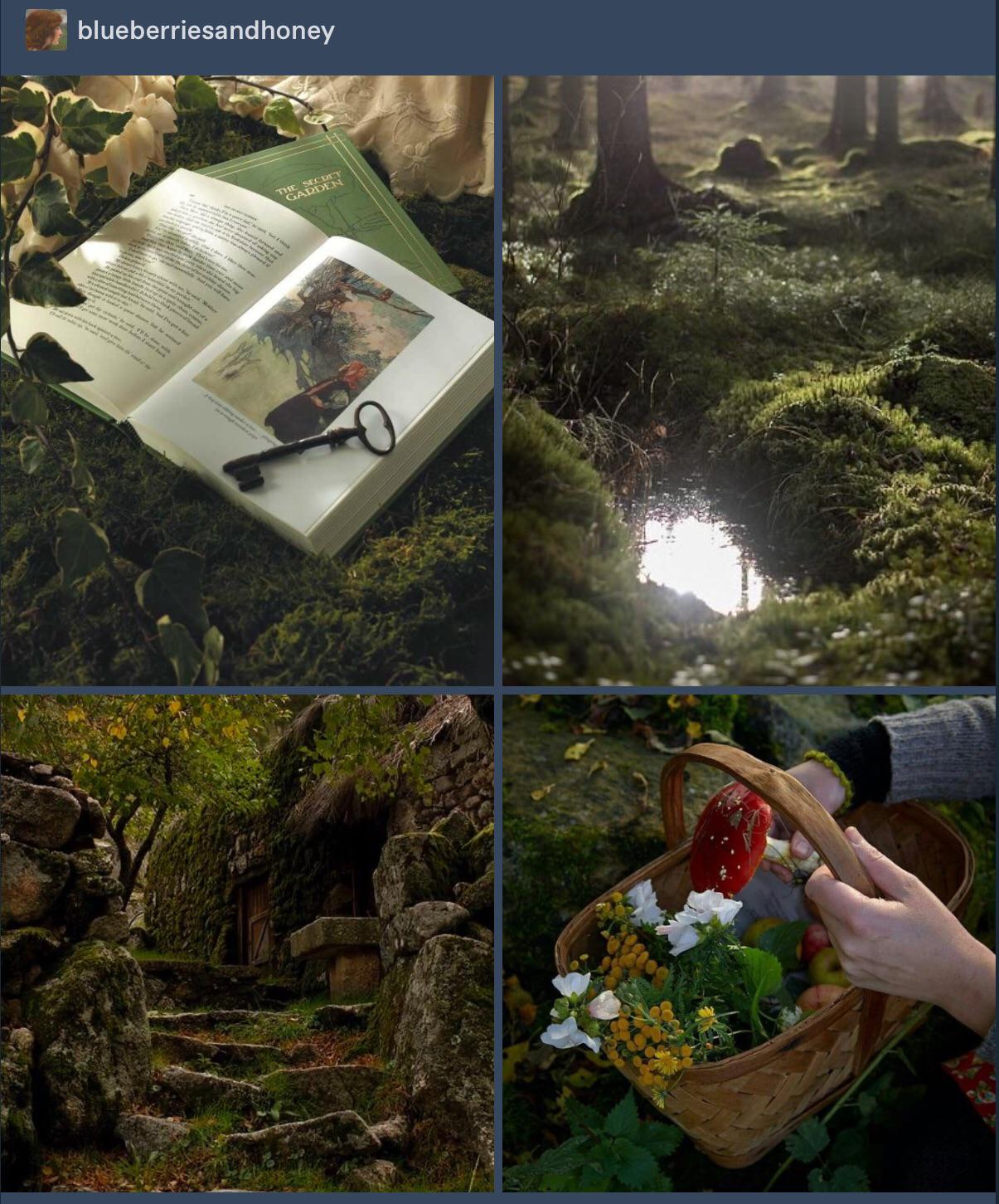 this picture set makes me go Feral | Scrolller