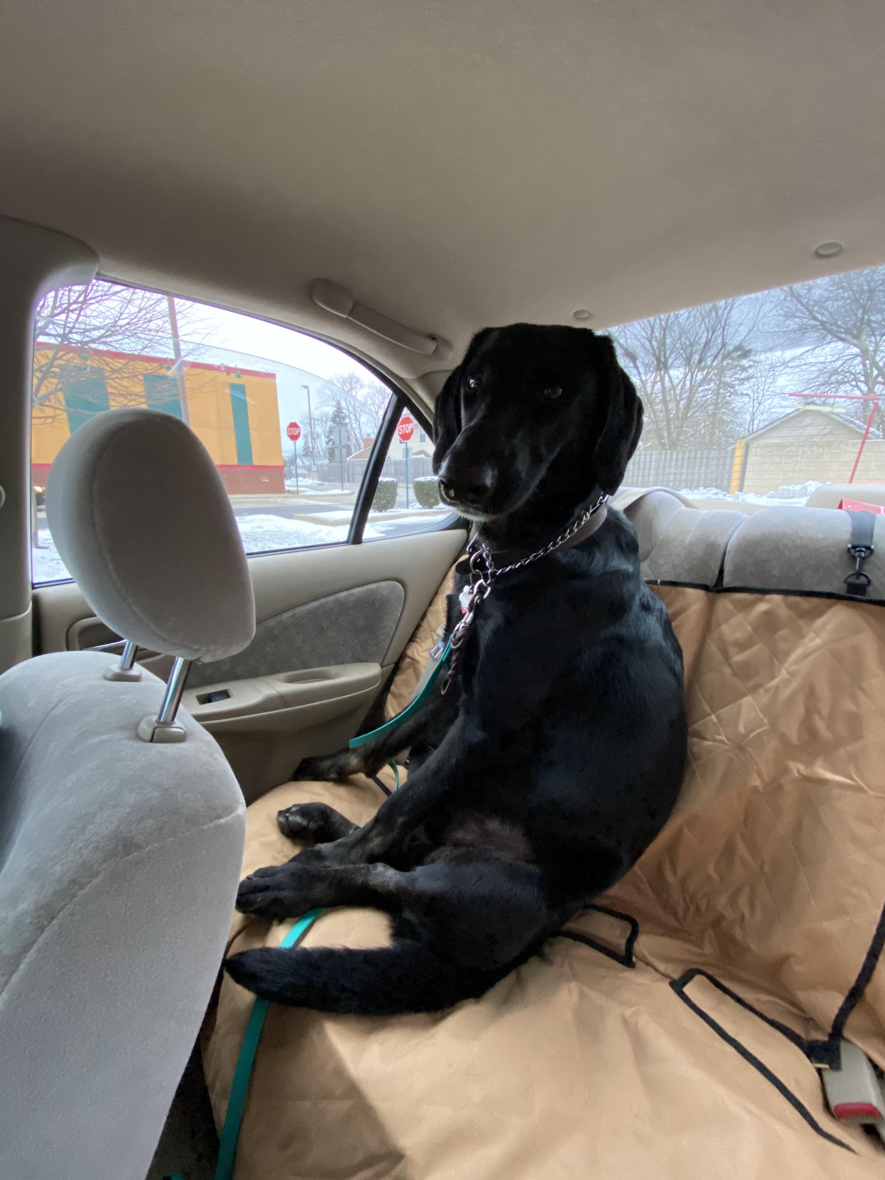 This sit | Scrolller