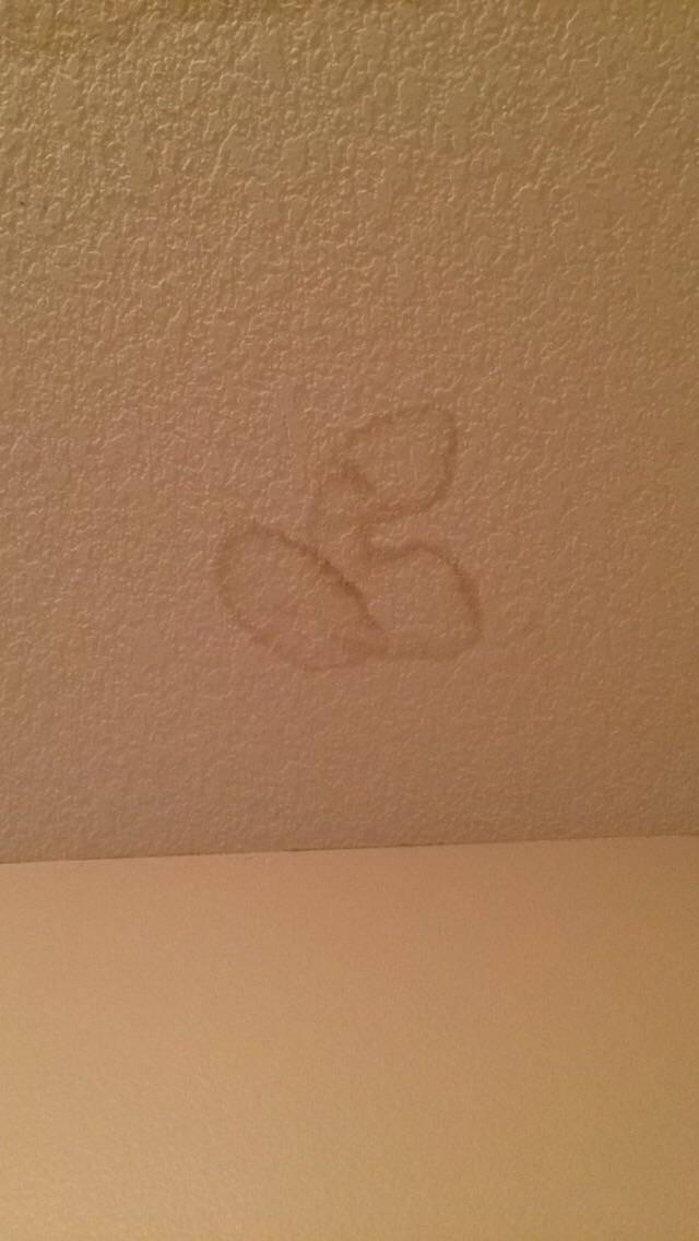 This stain on my ceiling | Scrolller