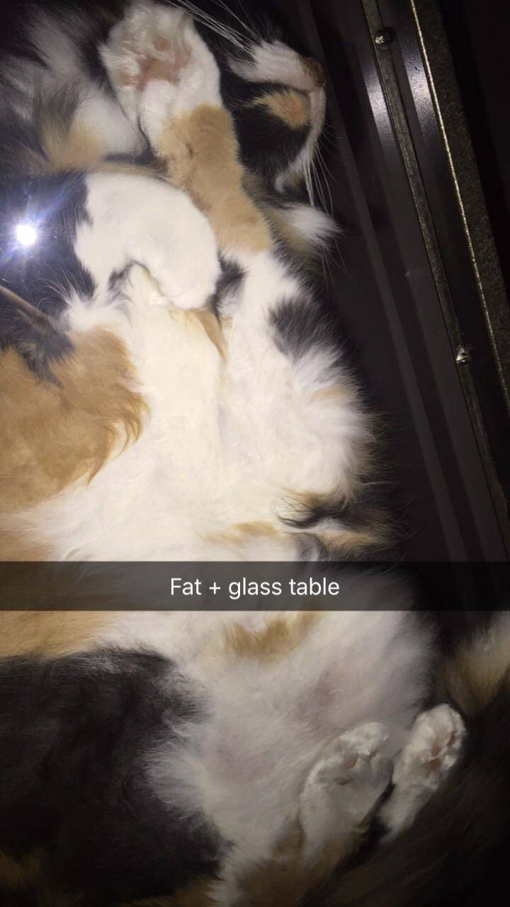 This view is uniquely flattering | Scrolller