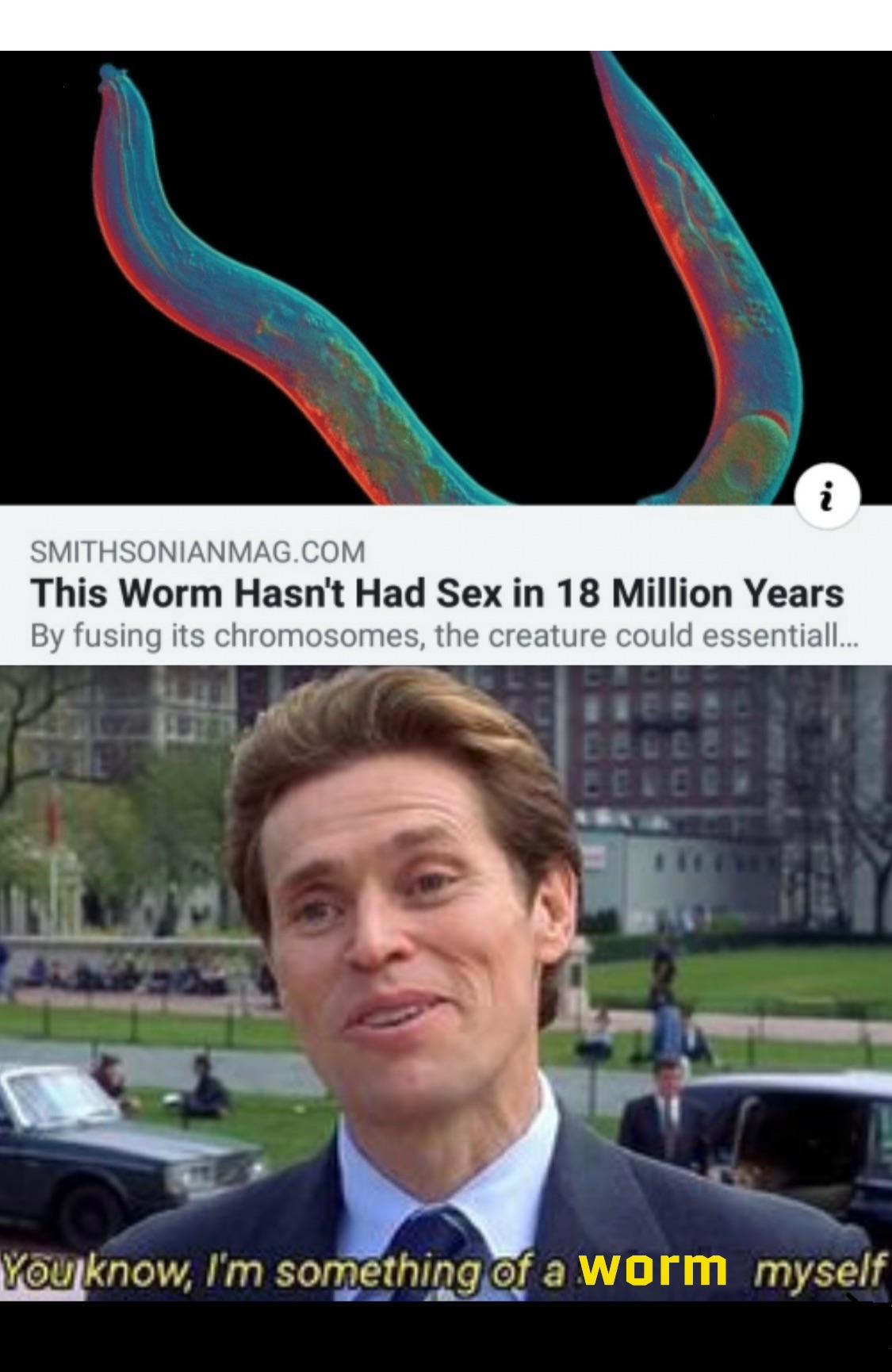 This will be removed but kudos to original but.. details on your memes friends please.. | Scrolller