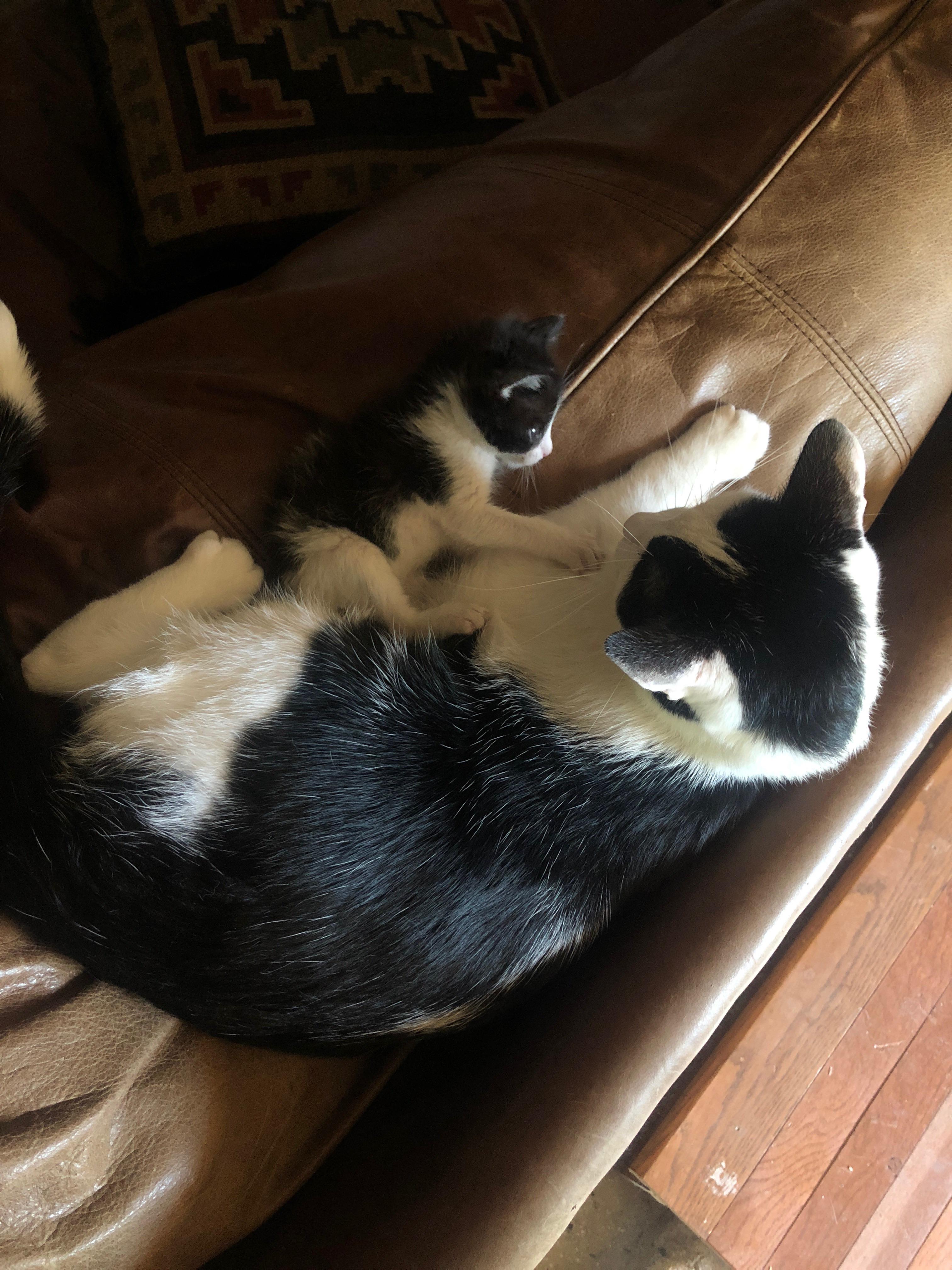 Thought you guys might enjoy these two. | Scrolller