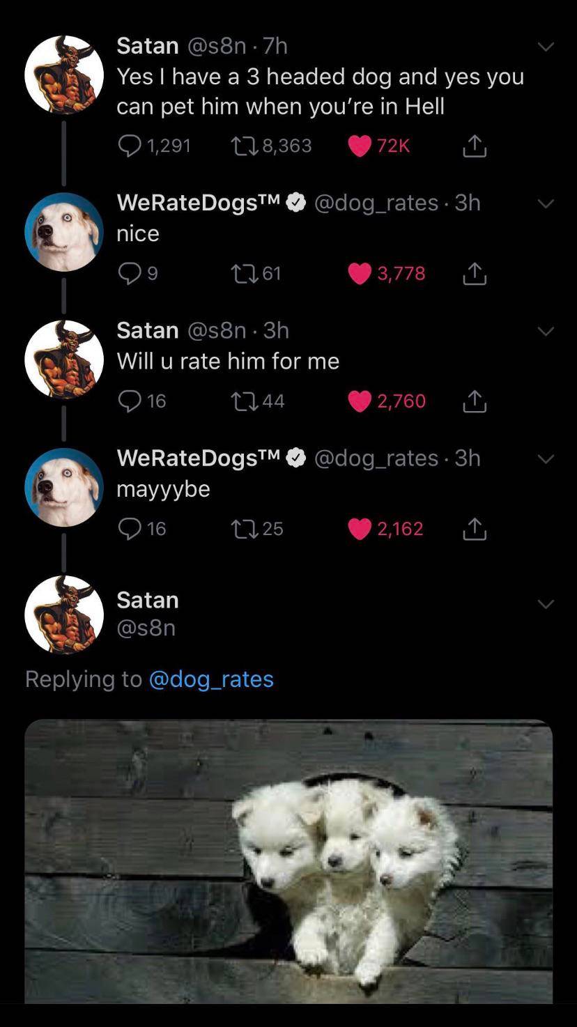 Three headed doggo | Scrolller