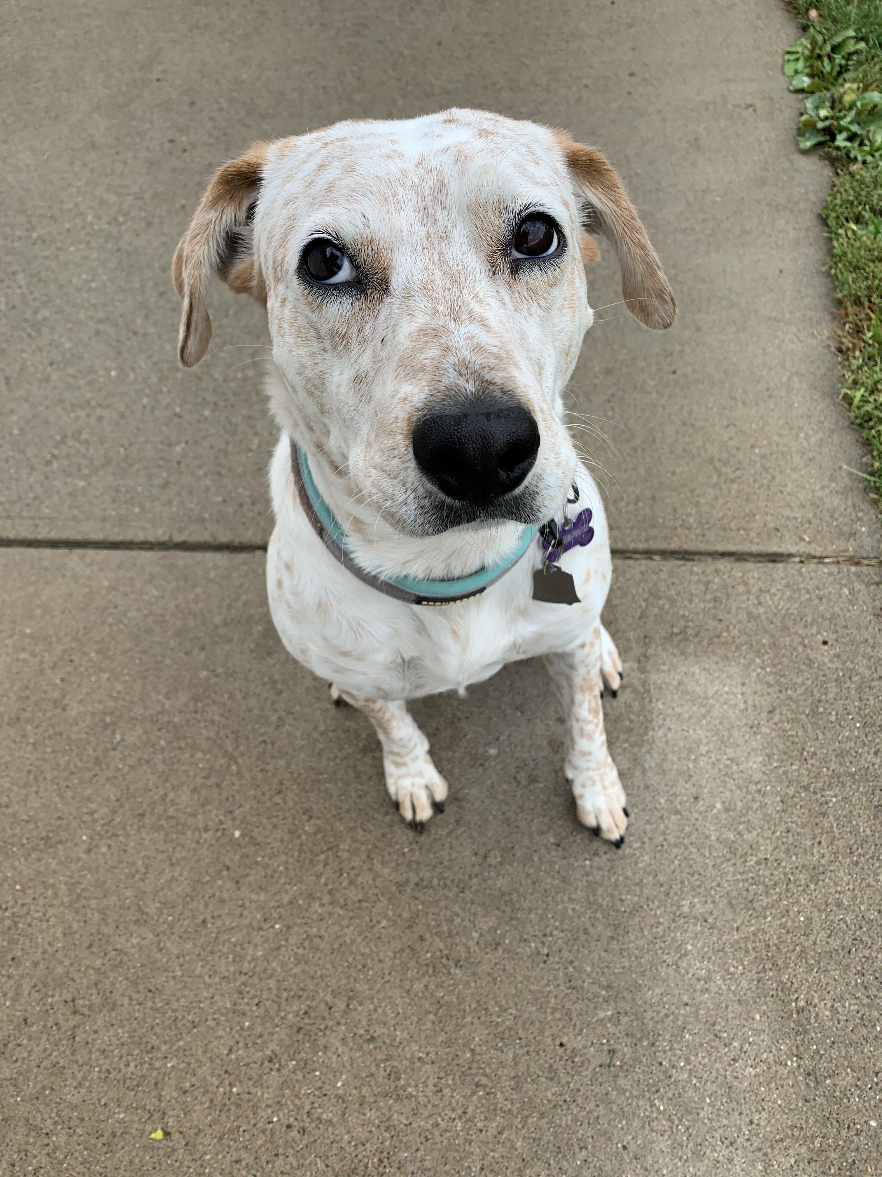 Throw the ball already..gezz | Scrolller