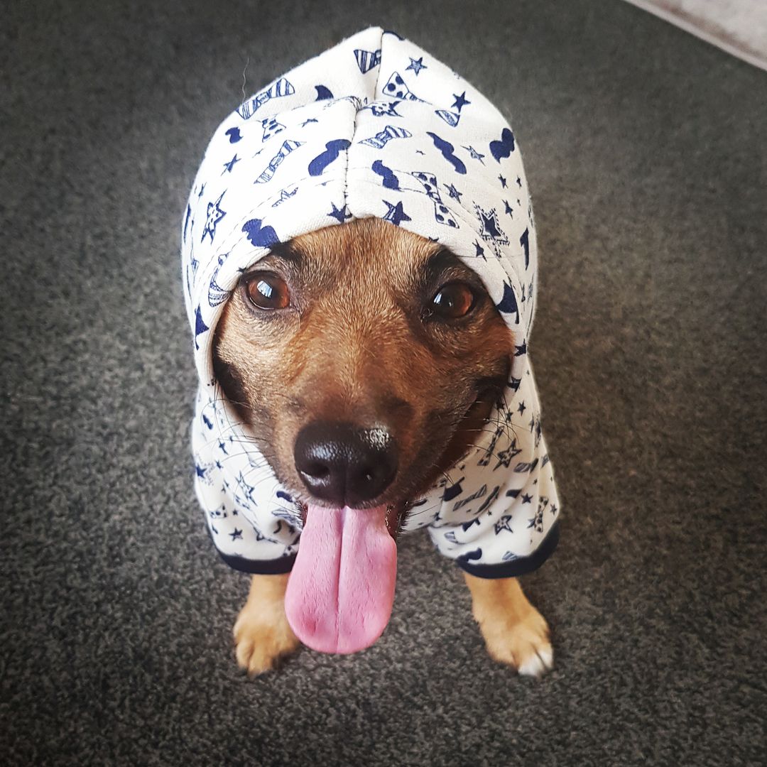 Thug life | Scrolller