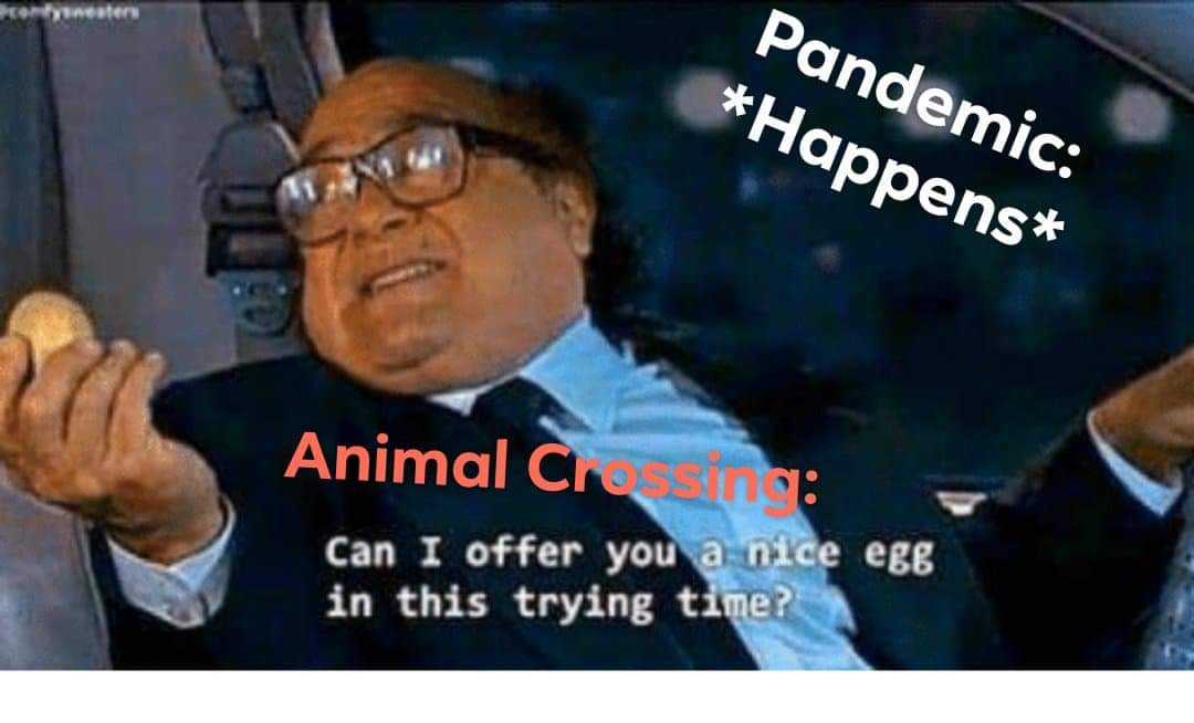 Thx ACNH | Scrolller