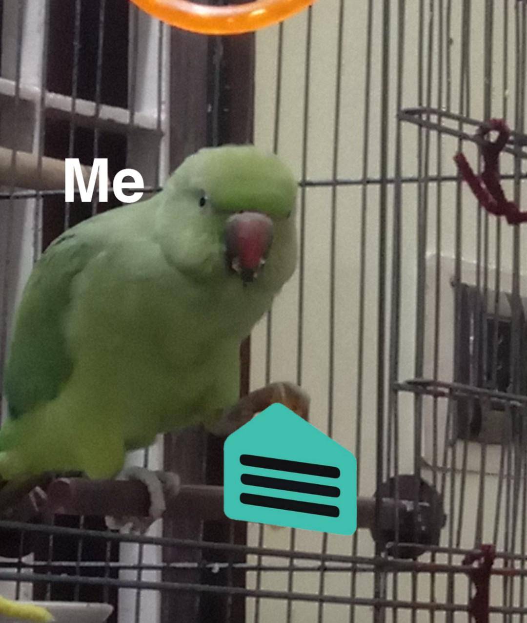 Thx guys | Scrolller