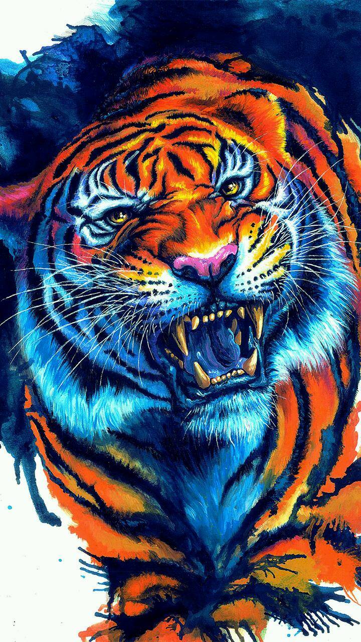 Tiger | Scrolller