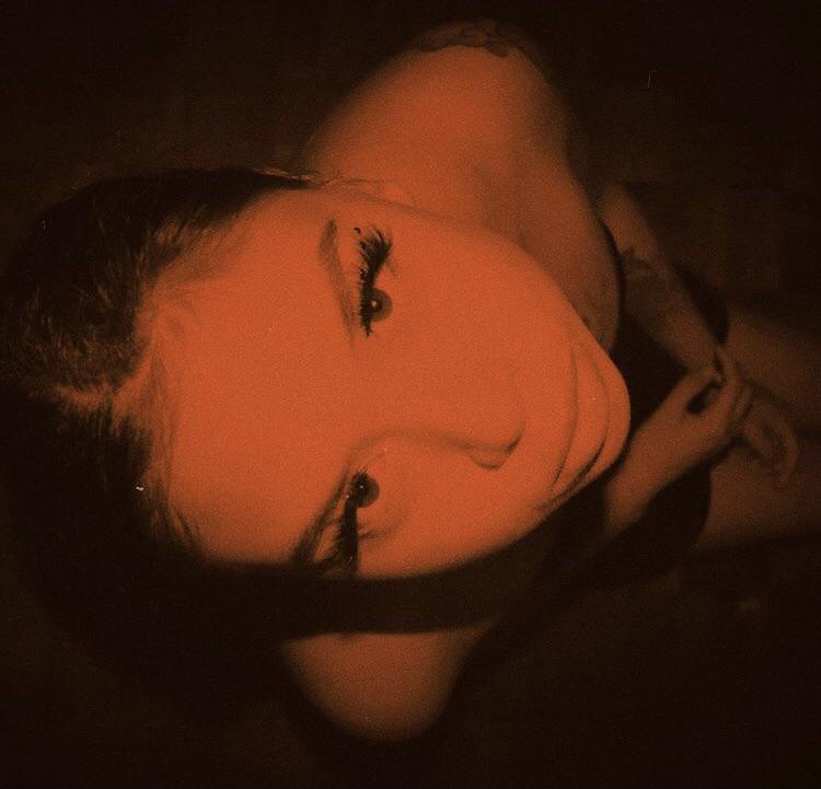 Tiger lily | Scrolller