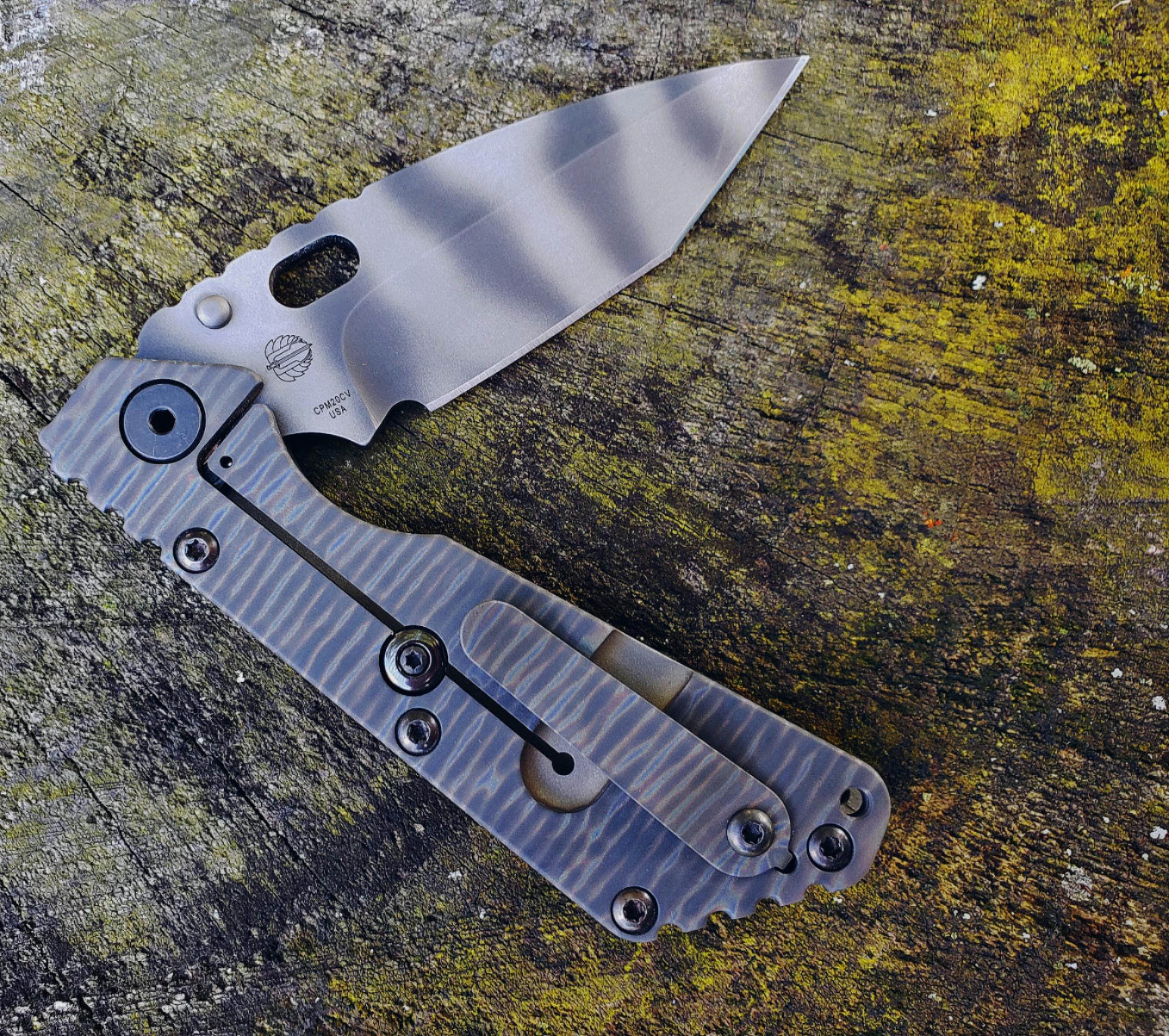 Tiger Stripe Thursday🐅 Strider FWP SMF TS | Scrolller