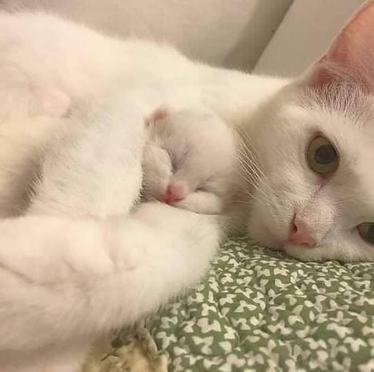 Tight And Protecc All At Once!! | Scrolller