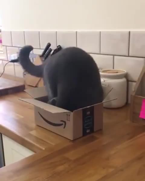 tight box | Scrolller