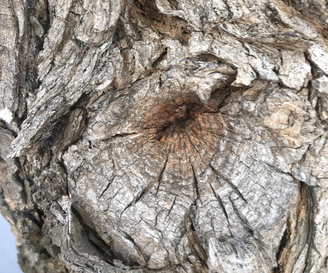 TIGHT BUTTHOLE! | Scrolller