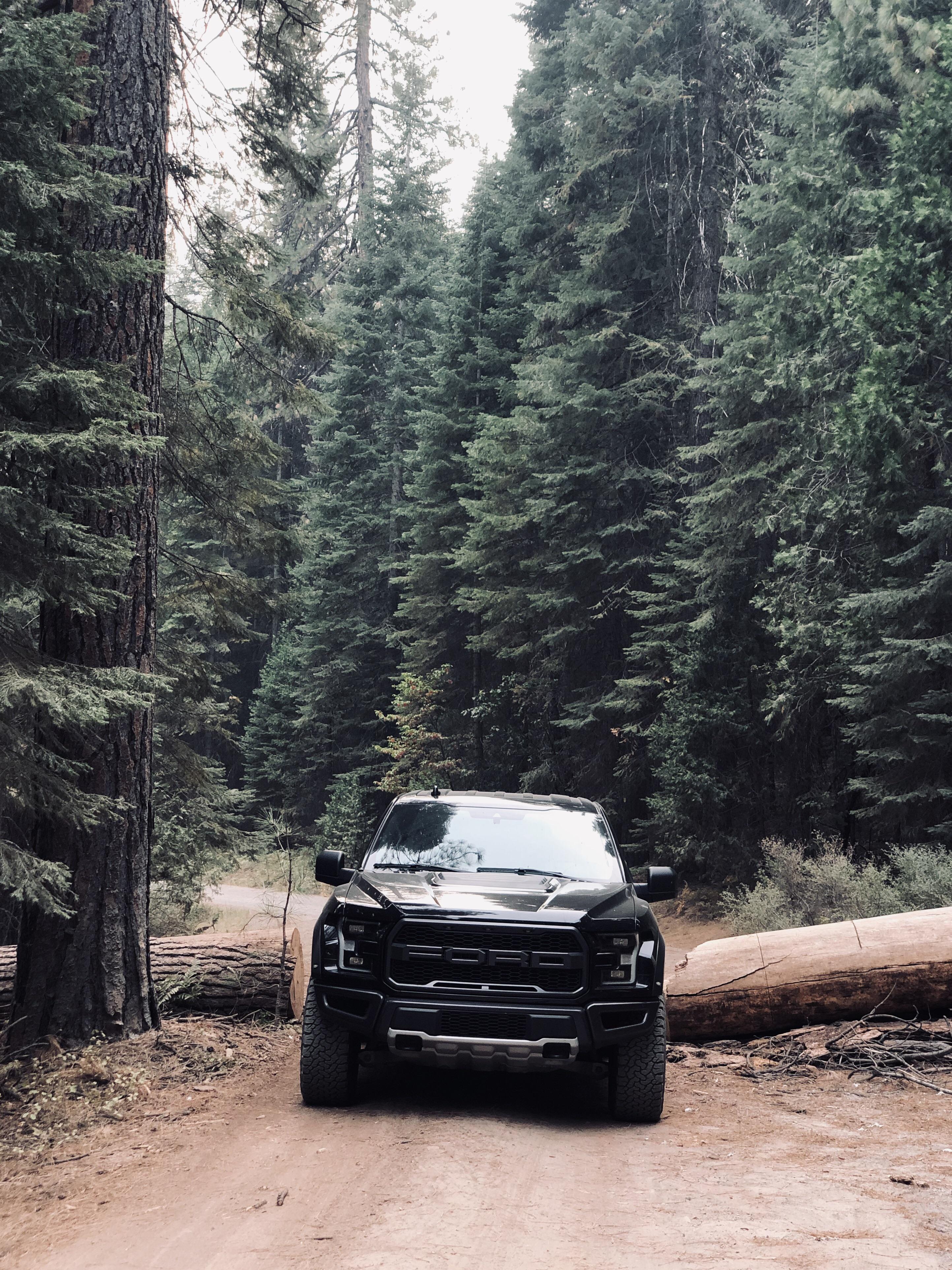 Tight squeeze | Scrolller