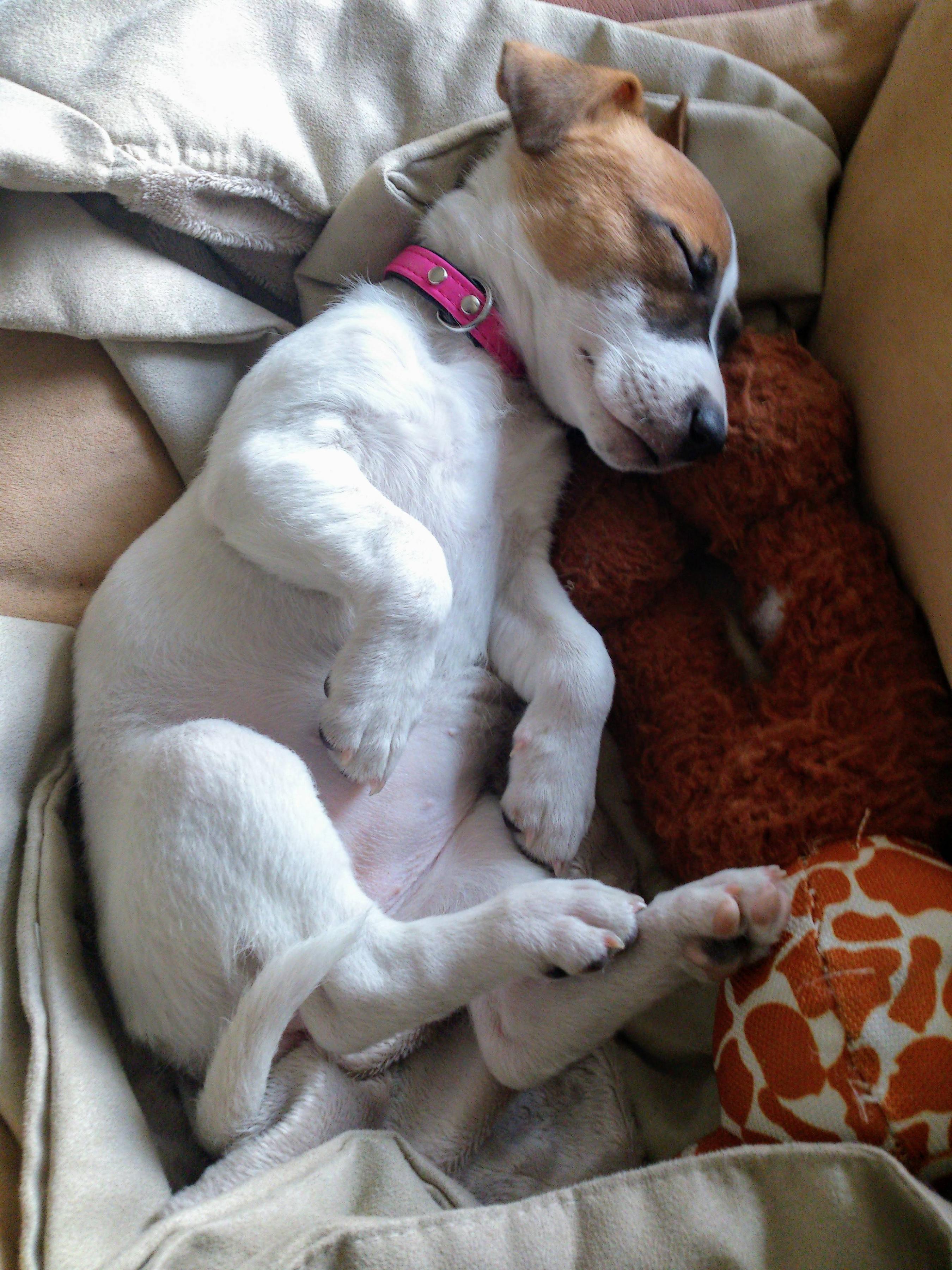 Time for a good nap! | Scrolller