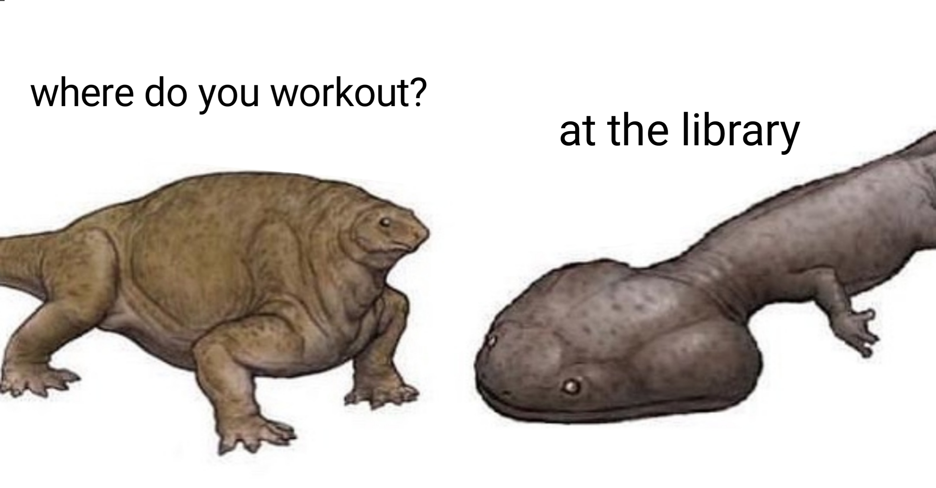 time to evolve | Scrolller