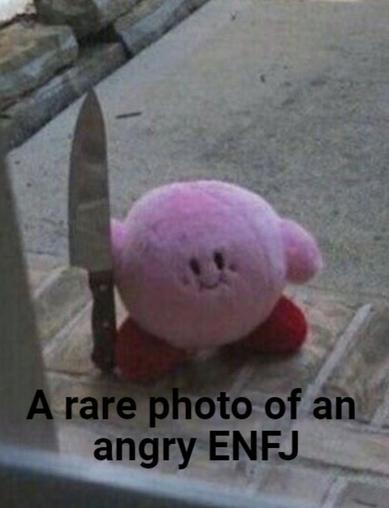 a rare photo of an angry ENFJ | Scrolller