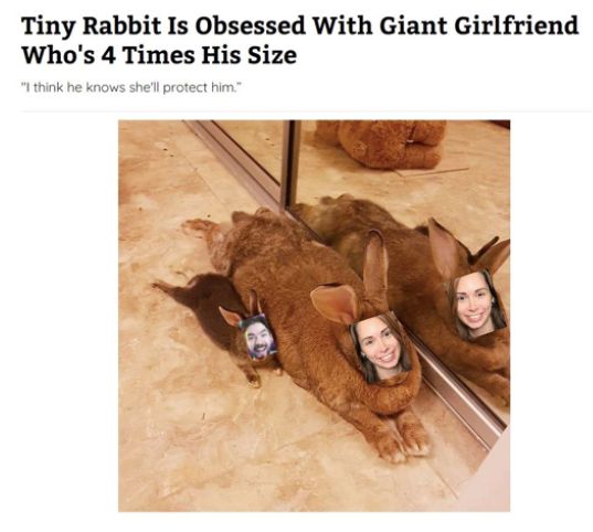 Tiny Boi | Scrolller