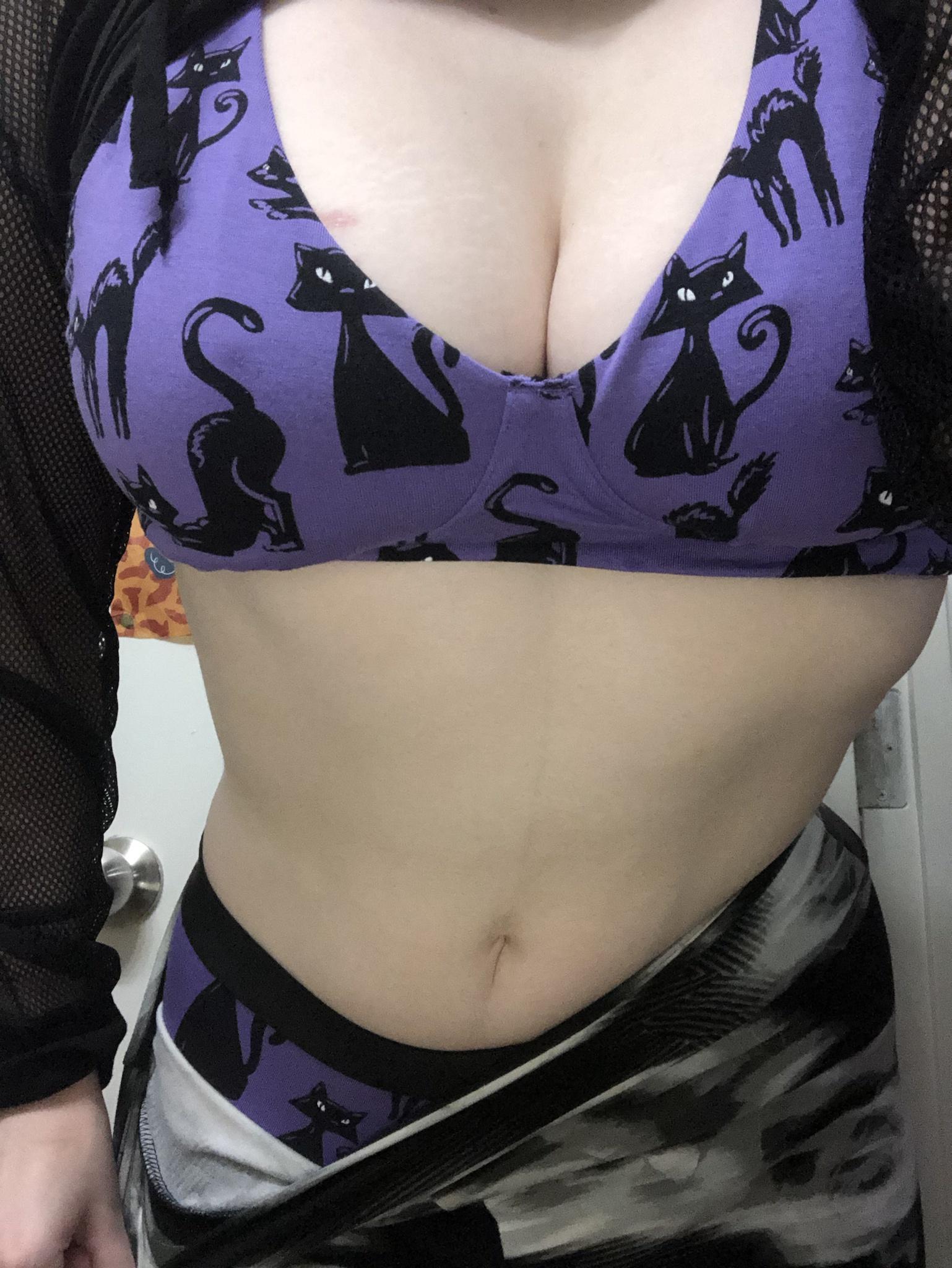 spooky kitties! | Scrolller