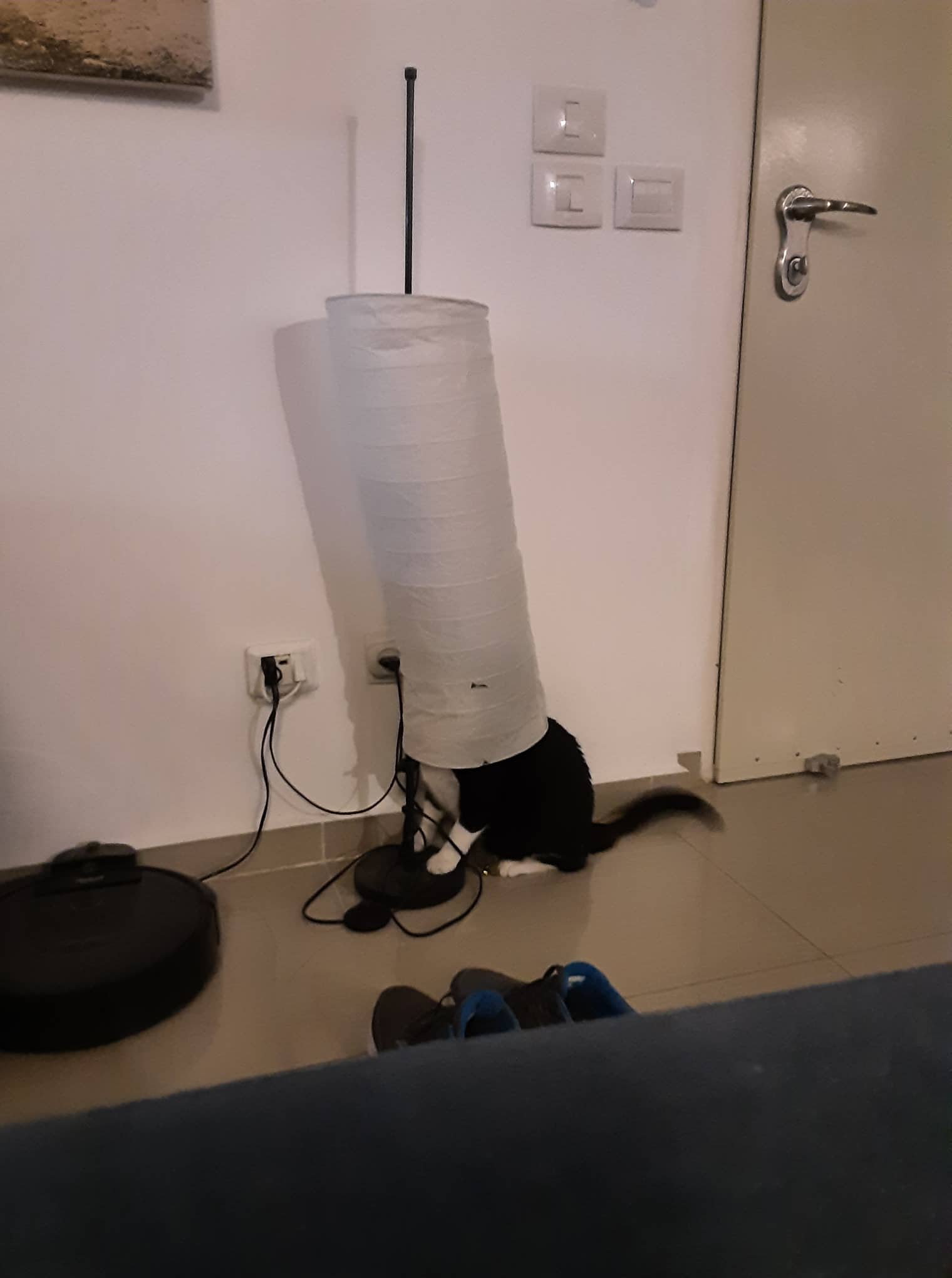 To remain hidden | Scrolller