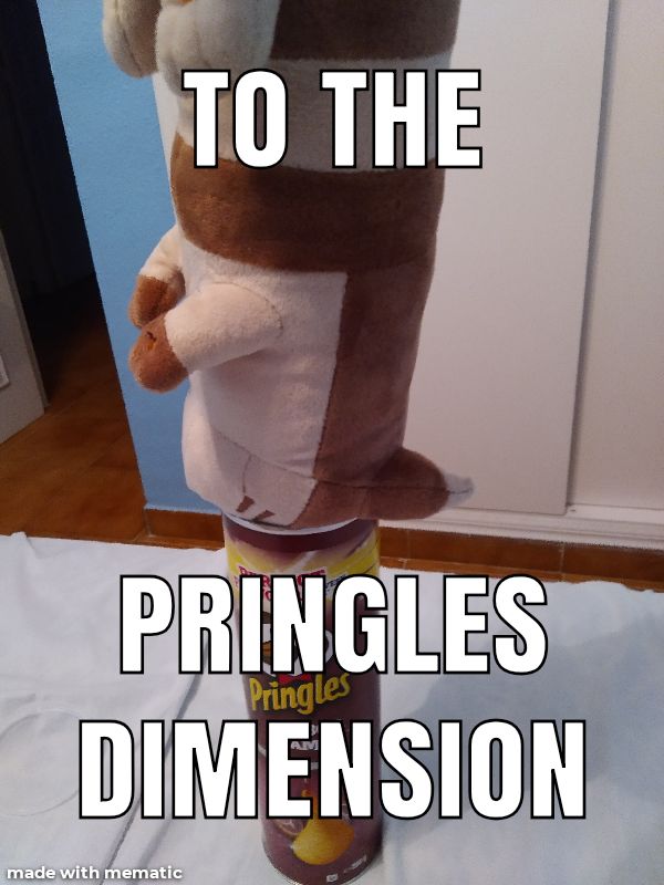 TO THE PRINGLES DIMENSION | Scrolller
