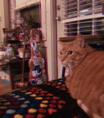 Toby boy chilling with me on Friday night | Scrolller