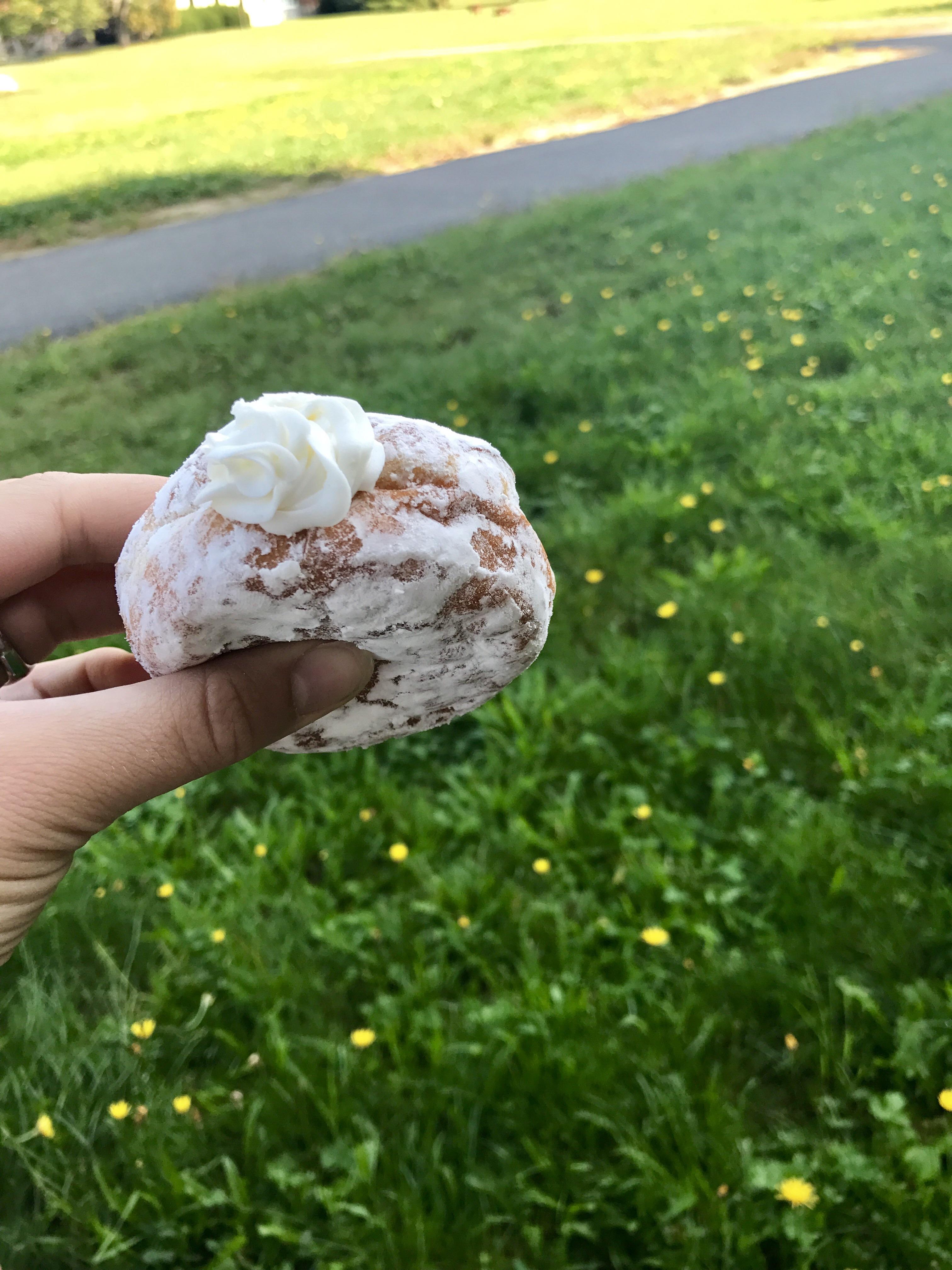 Today is National Creme-Filled Donut Day. | Scrolller
