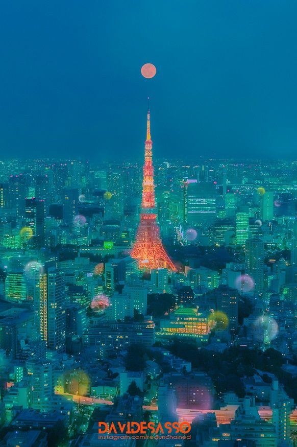 Tokyo Tower | Scrolller