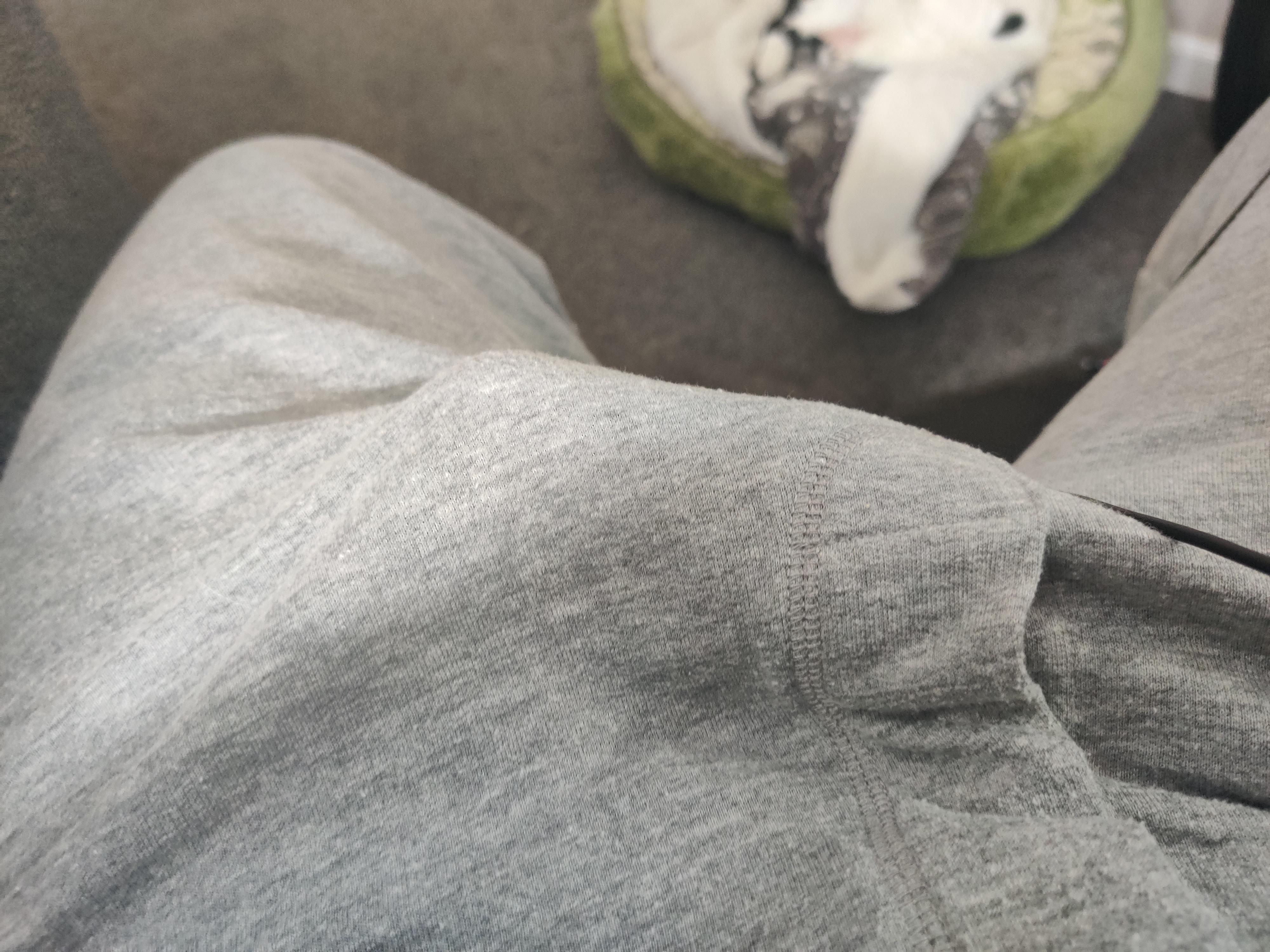 Tommy hilfiger joggers | Scrolller