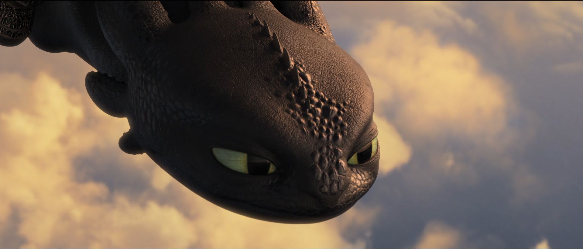 Toothless Shot of the Day (#326) | Scrolller