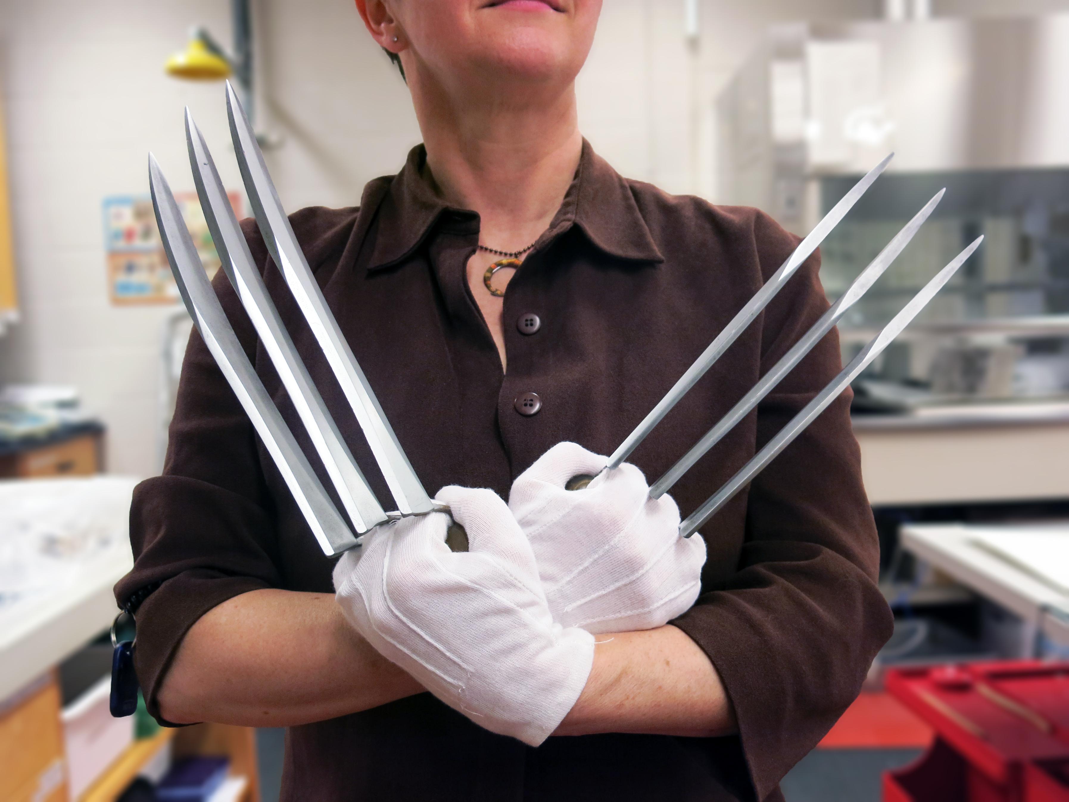 Toronto Public Library currently has Wolverine's claws | Scrolller
