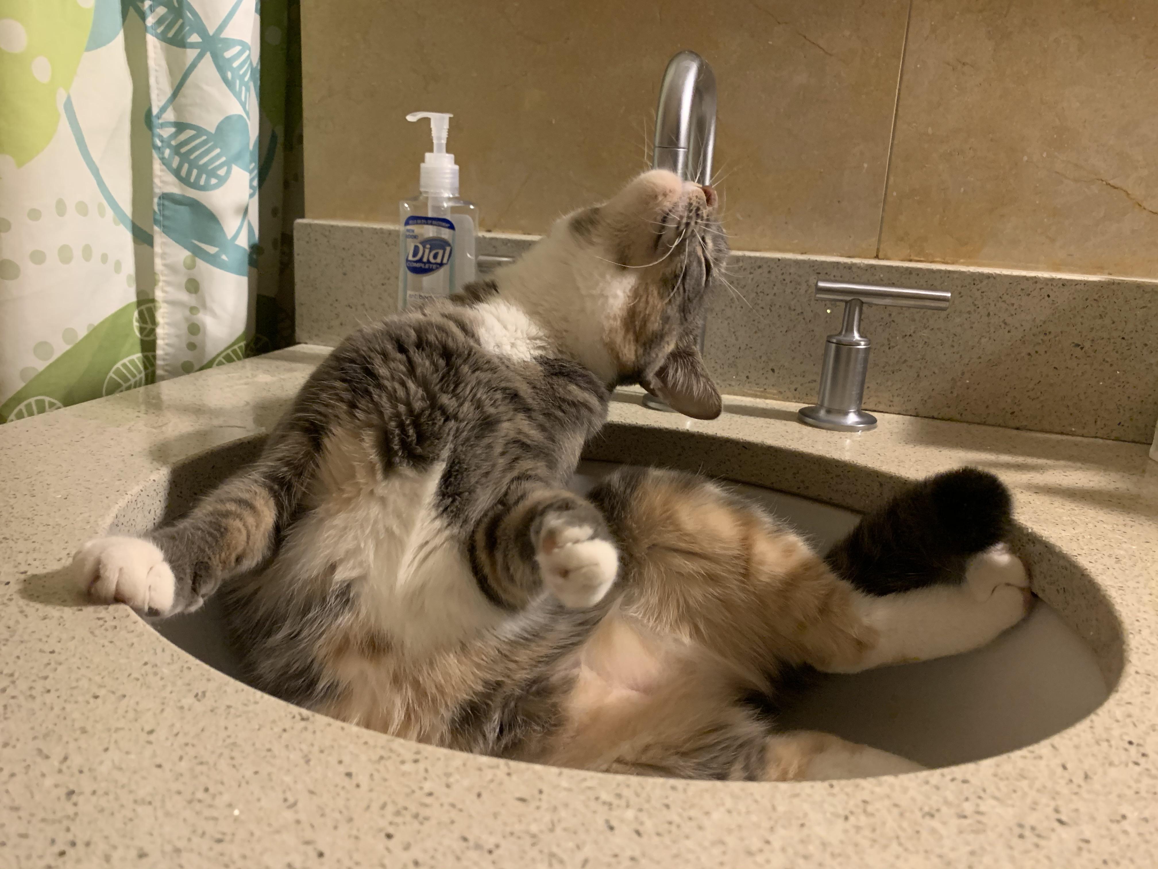 total satisfaction | Scrolller