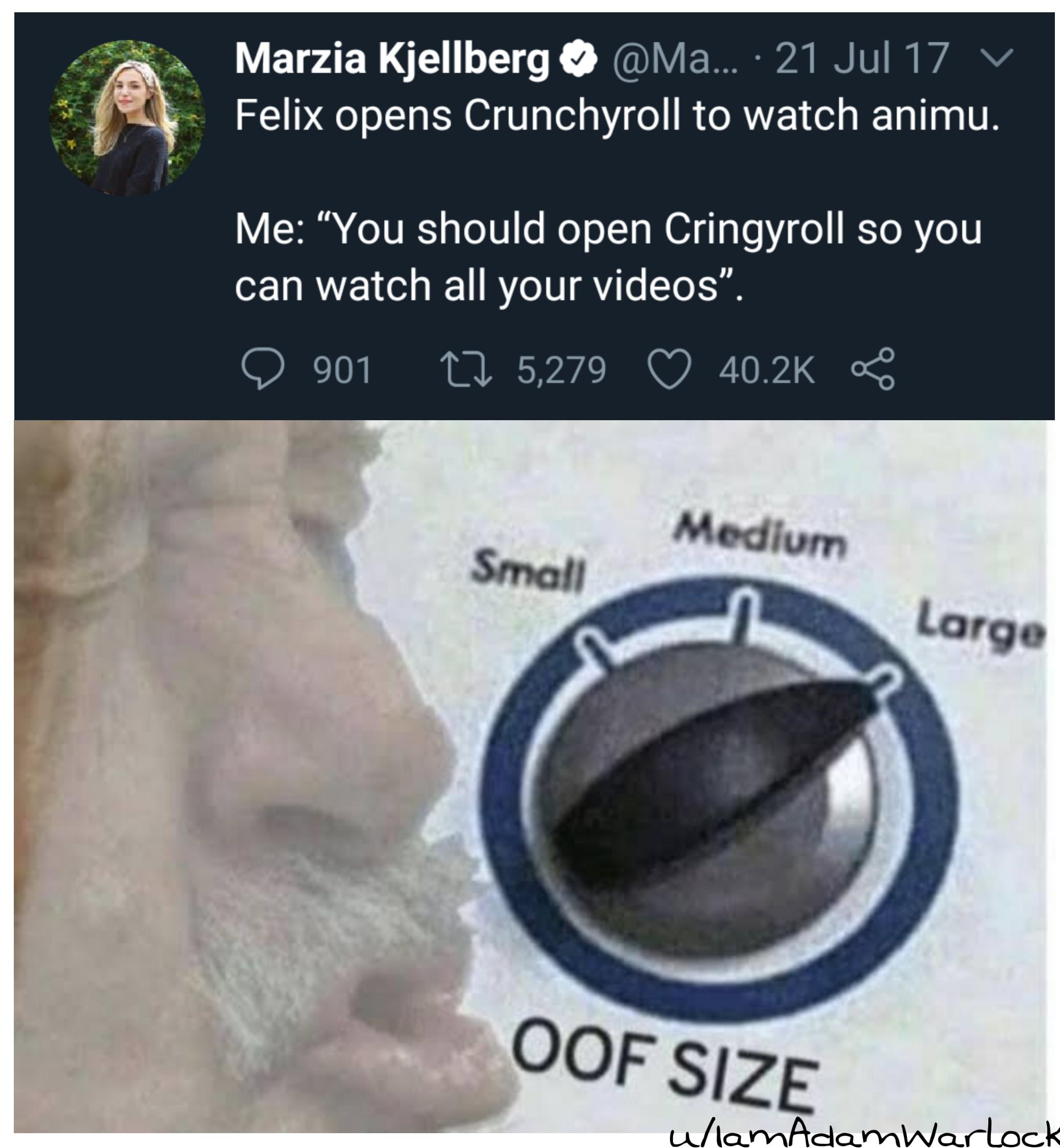 Totally destroyed , PP crushed | Scrolller