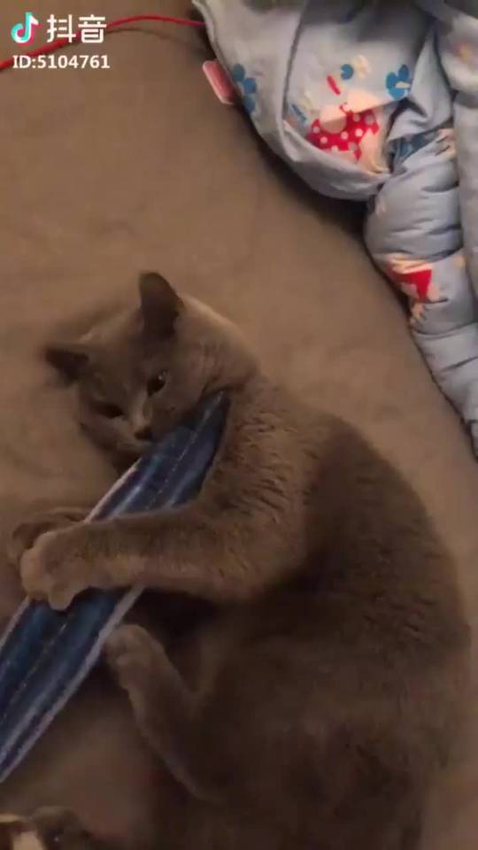 Touch, slap n' grab da fishy | Scrolller