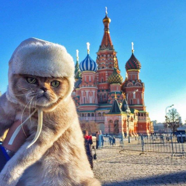 Tourist on Red Square.Экскурсант на Красной площади. | Scrolller