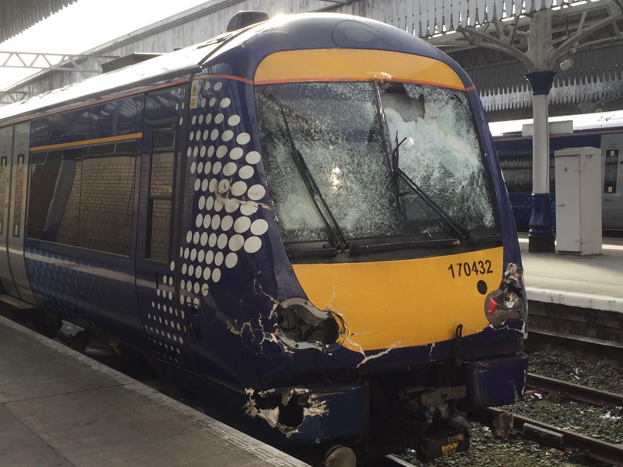 Train met a fallen tree | Scrolller