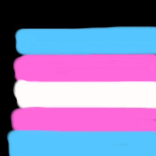 Trans pride flag | Scrolller