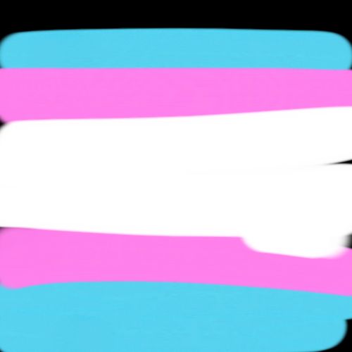 Trans rights never die | Scrolller