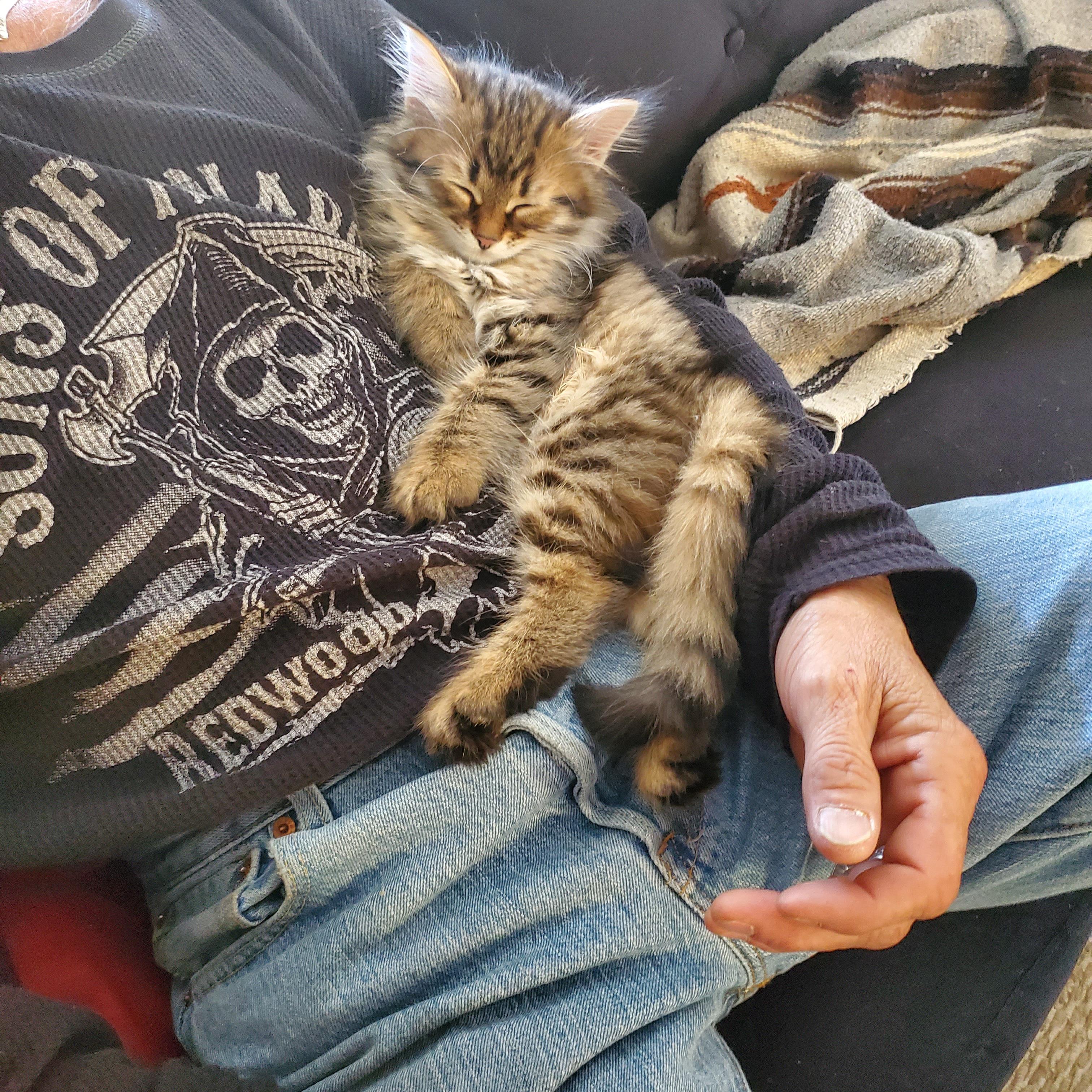 Trapping the human 😆 | Scrolller