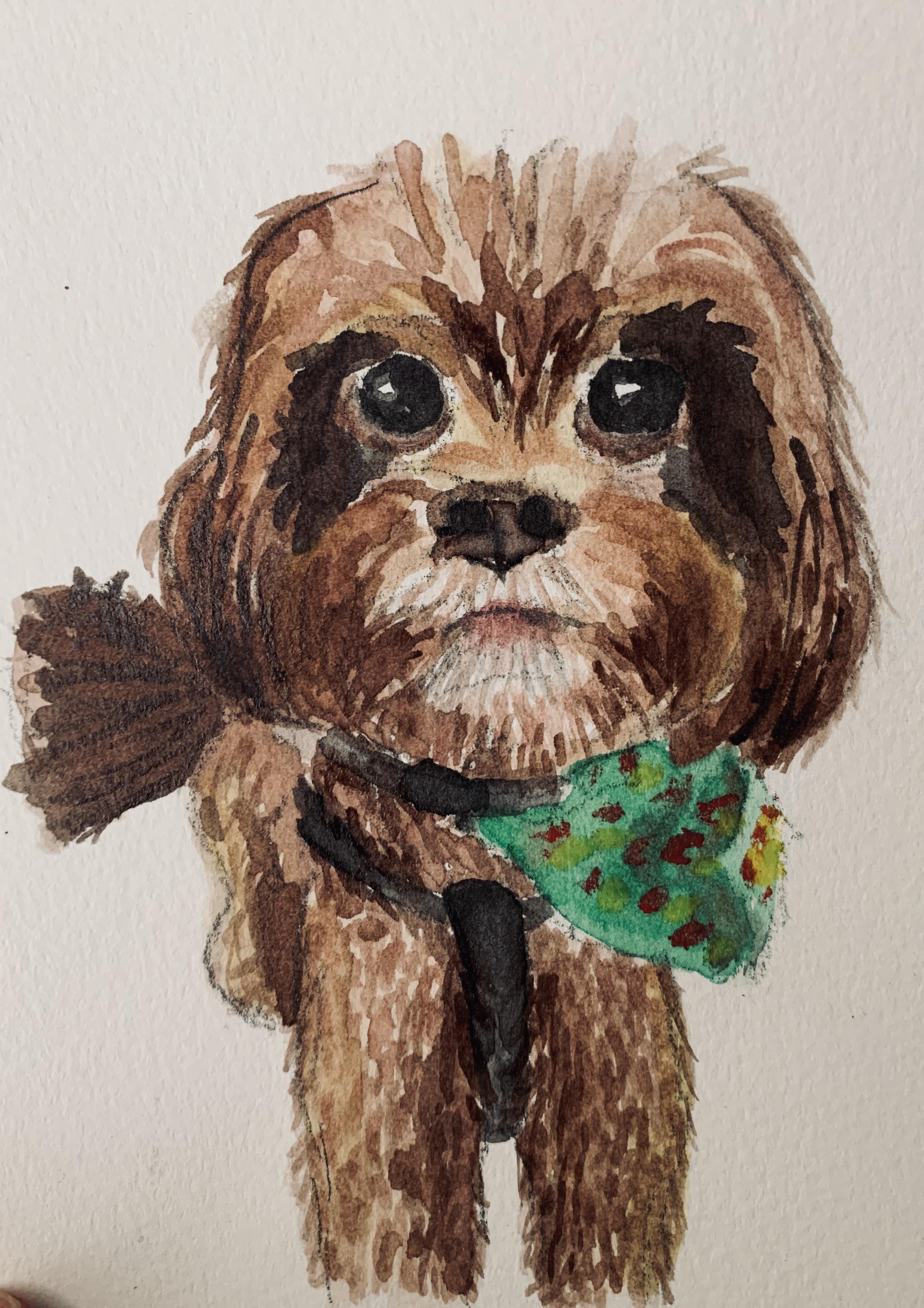 Treats Hooman?, me, watercolor, 2020 | Scrolller