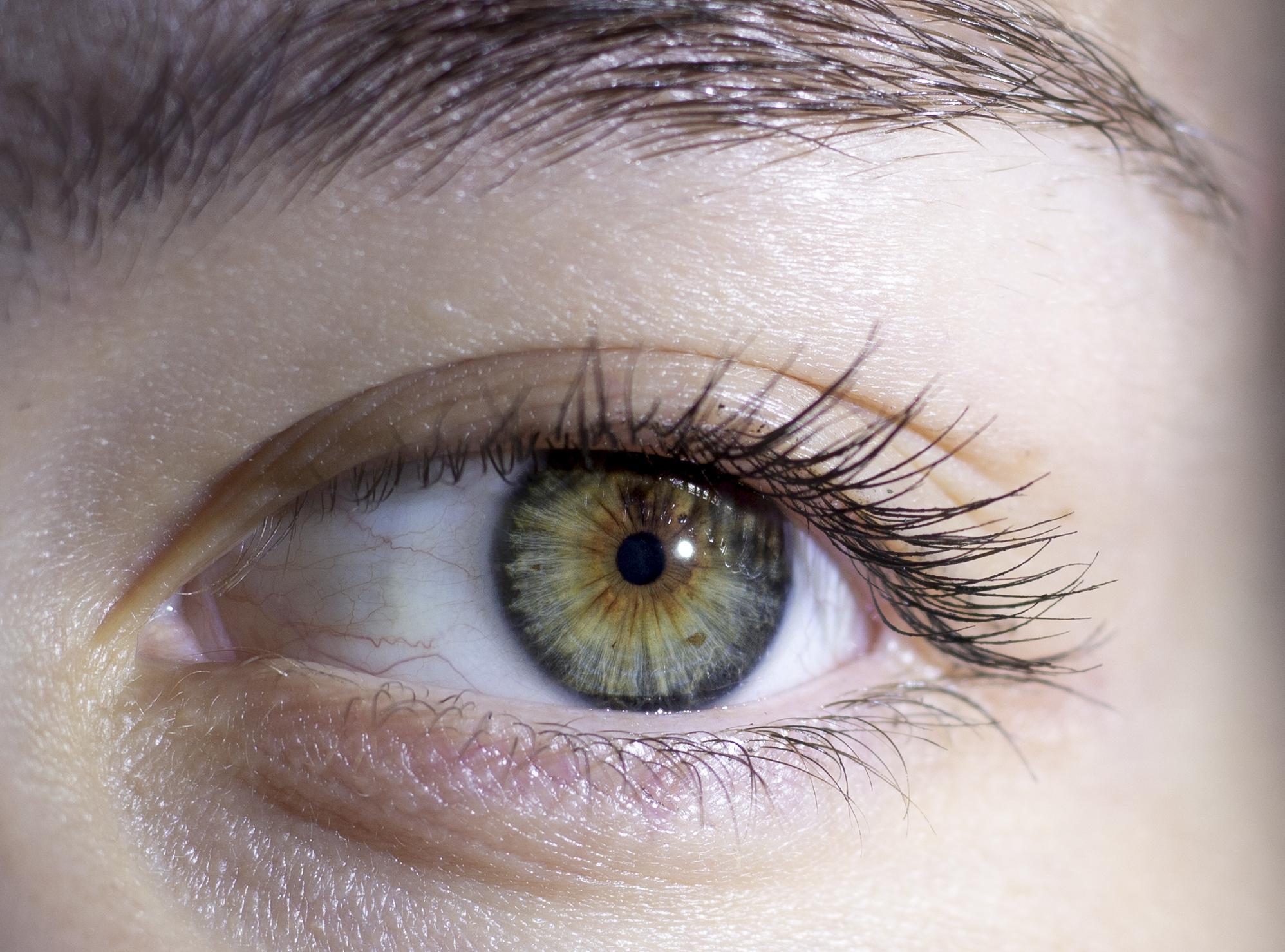 Tried my hand at macro photography. Hazel eye up close :) | Scrolller