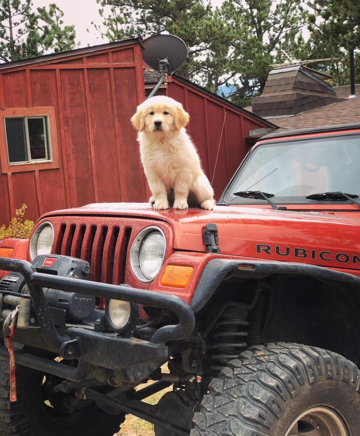 Trout is just here for some internet points. | Scrolller